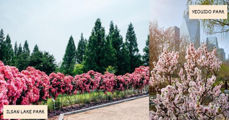 8 Best Spring Destinations for a 3-week Trip in 2024